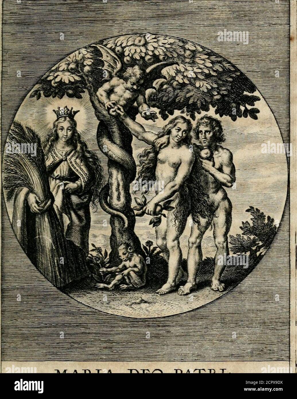 . Sacrvm oratorivm piarvm imaginvm immacvlatae Mariae et animae creatae ...