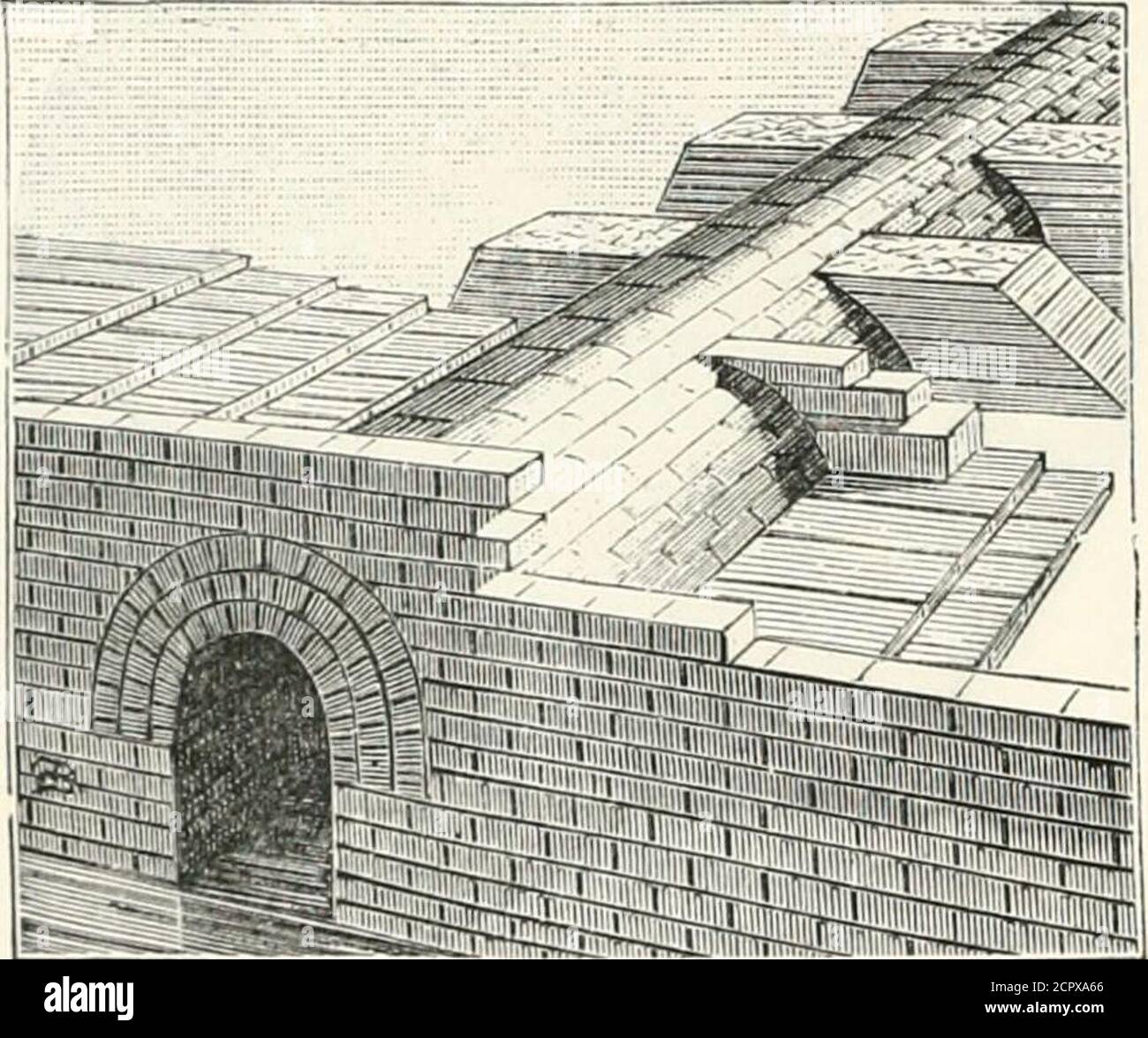 Clipeus hi-res stock photography and images - Alamy