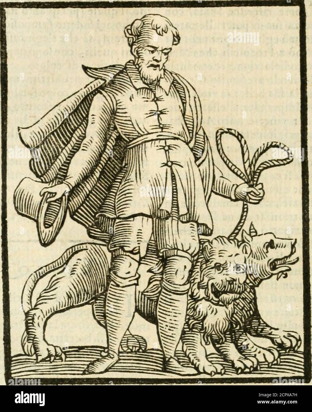 Sparit hi-res stock photography and images - Alamy