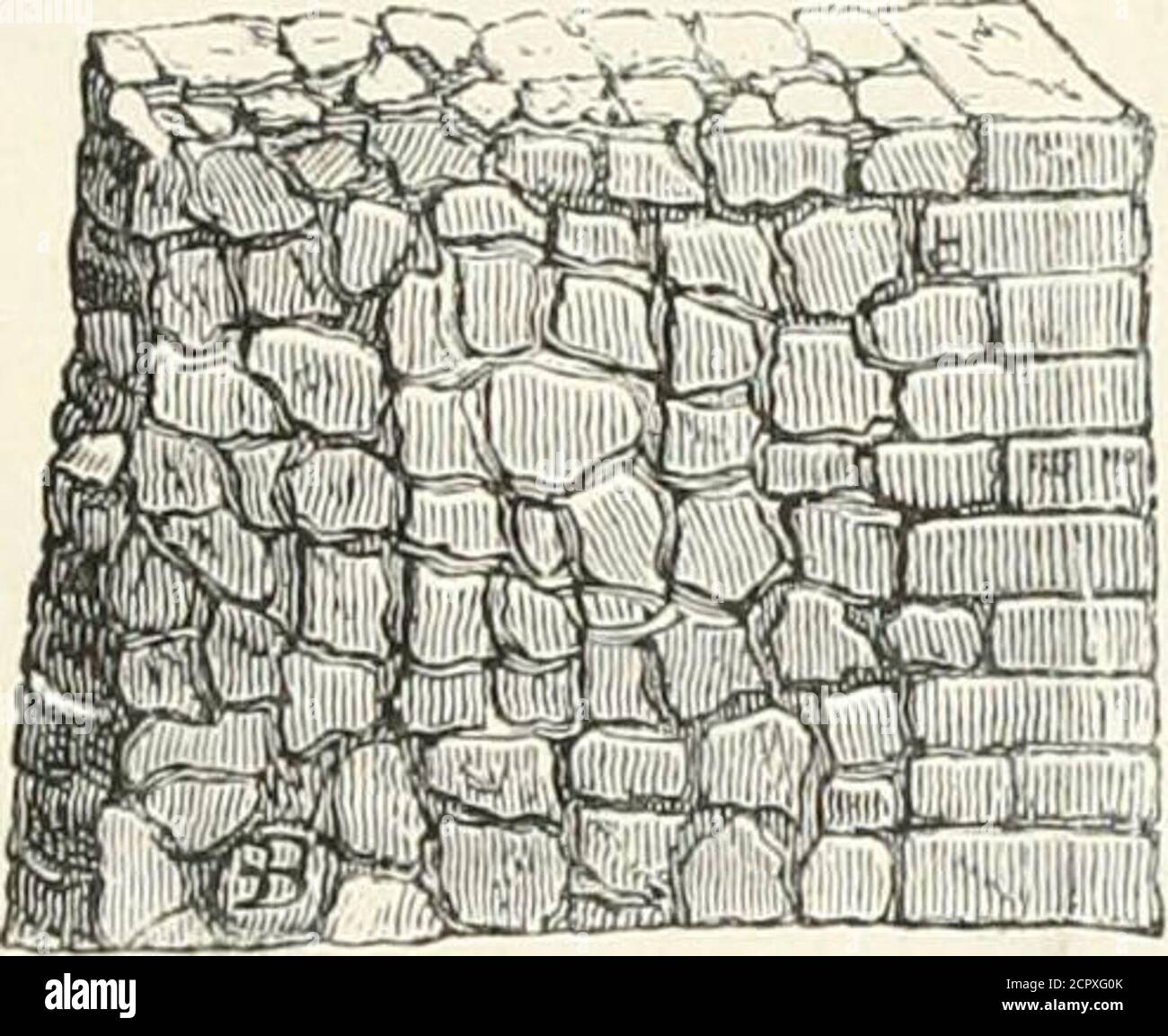 . An illustrated dictionary of words used in art and archaeology ...