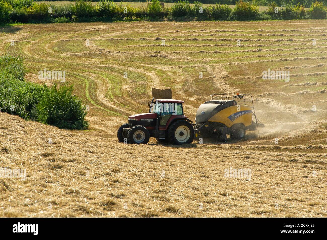 Maureen dean hi-res stock photography and images - Alamy