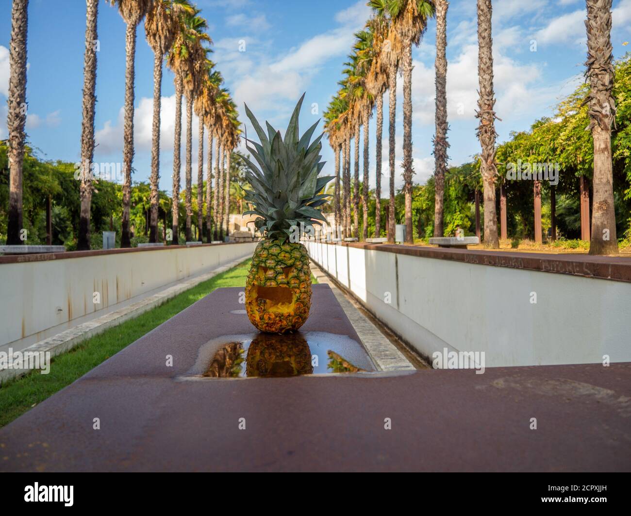 Closeup shot of a scary pineapple for a Halloween party Stock Photo - Alamy