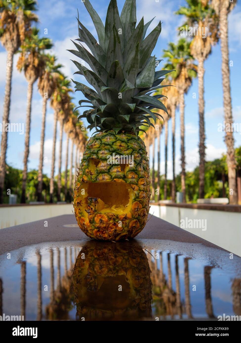 Closeup shot of a scary pineapple for a Halloween party Stock Photo - Alamy
