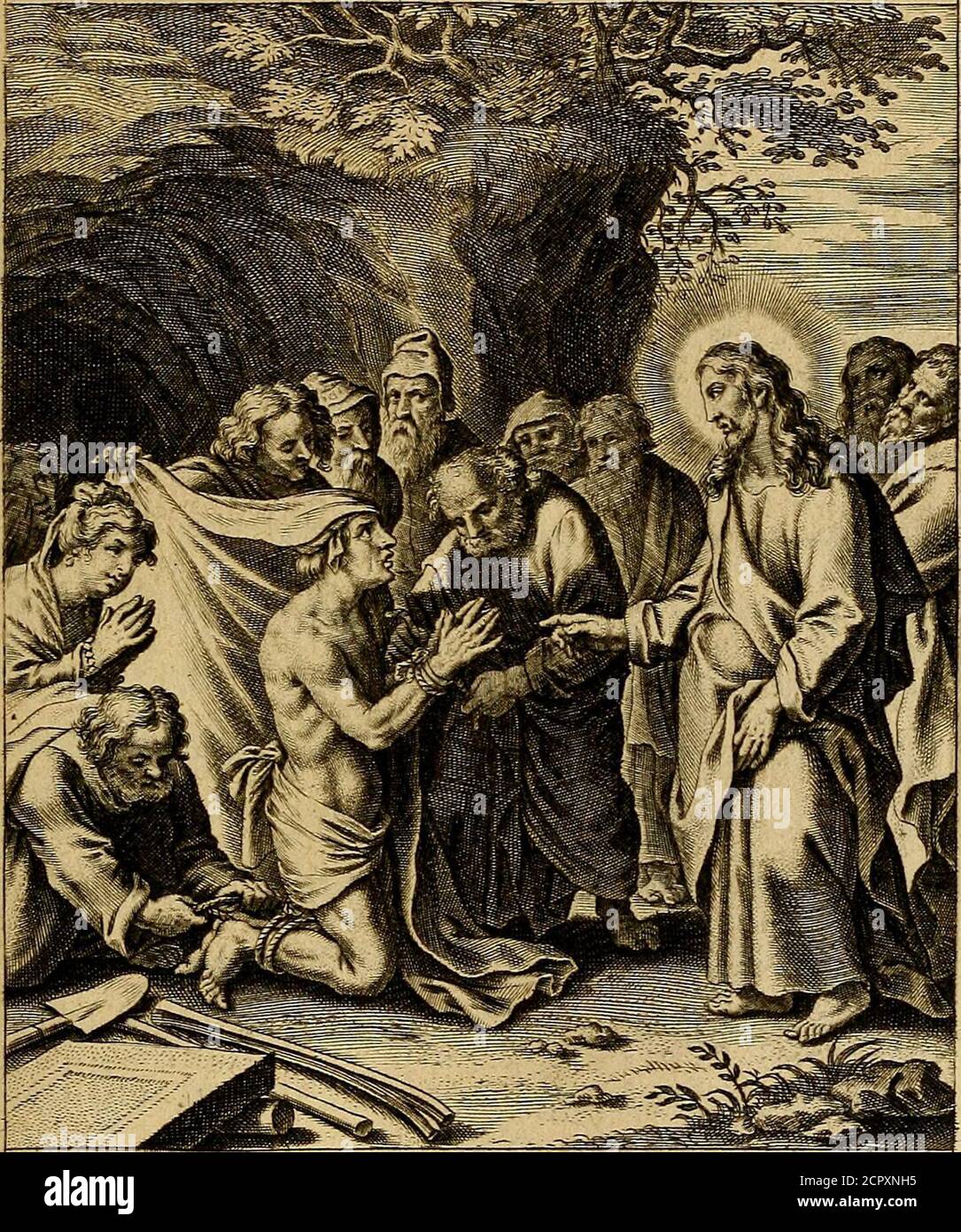 Salutaris hi-res stock photography and images - Alamy