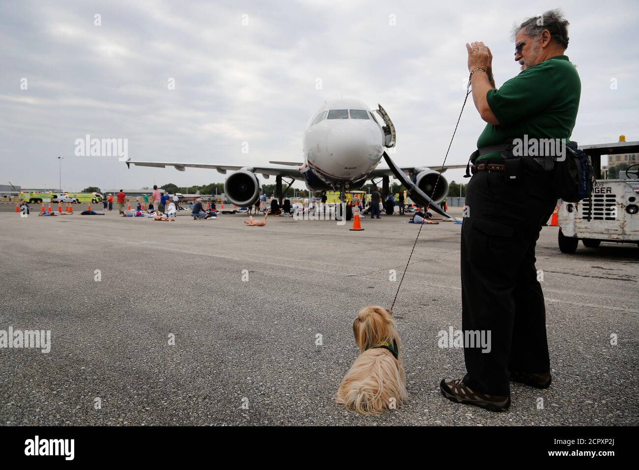 Emotional support animal plane hi-res stock photography and images - Alamy