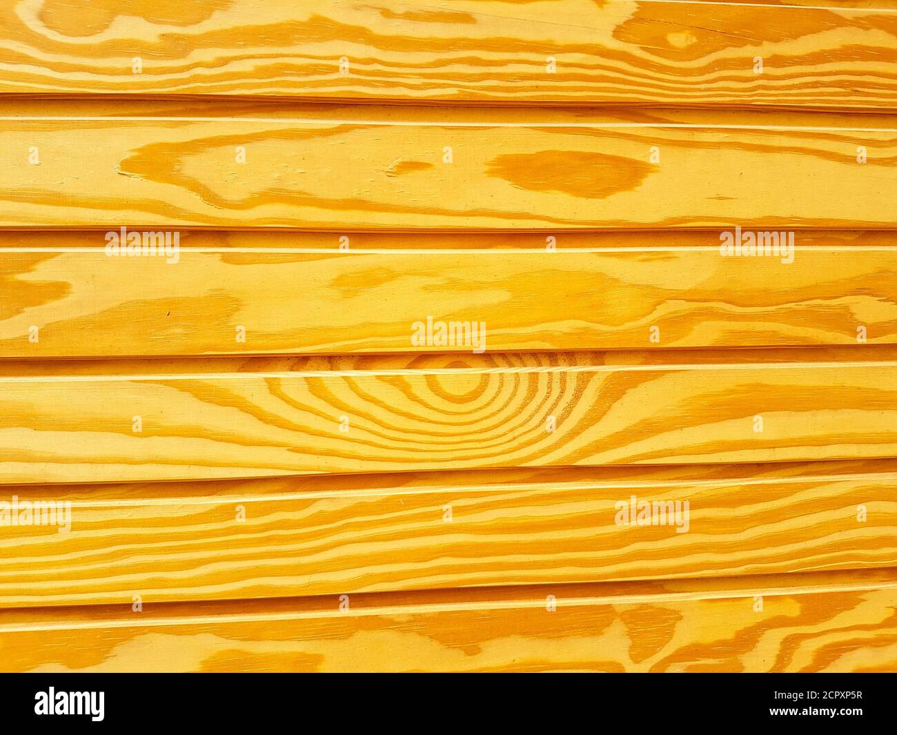 Yellow Pine , Pine wood texture, Wood floor texture, Pine wood Stock ...