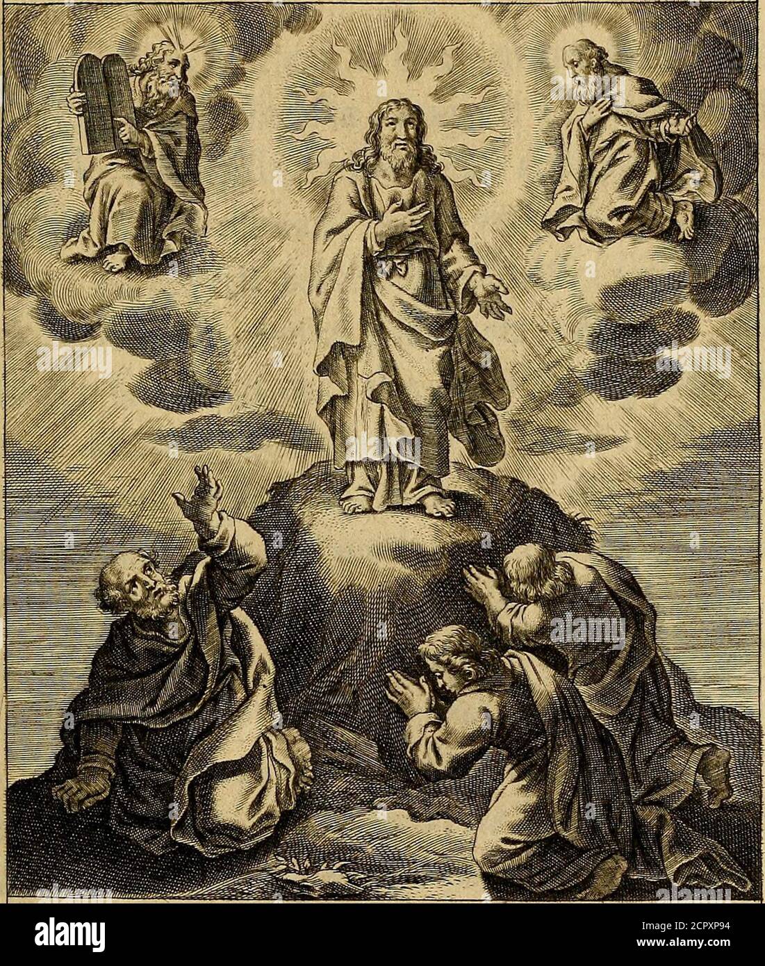 Flede hi-res stock photography and images - Alamy