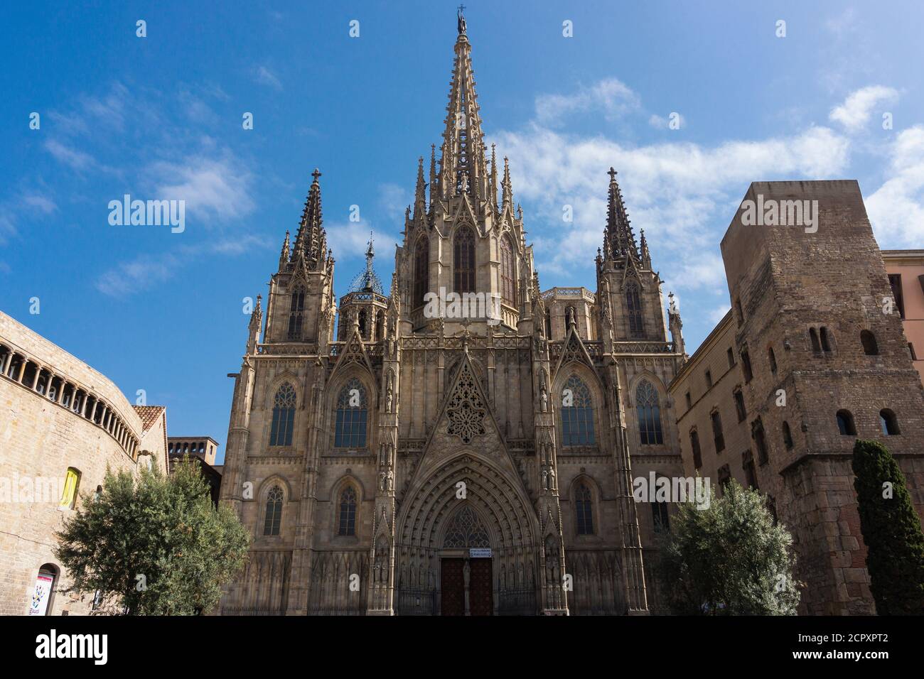 Pla catedral de la seu hi-res stock photography and images - Alamy