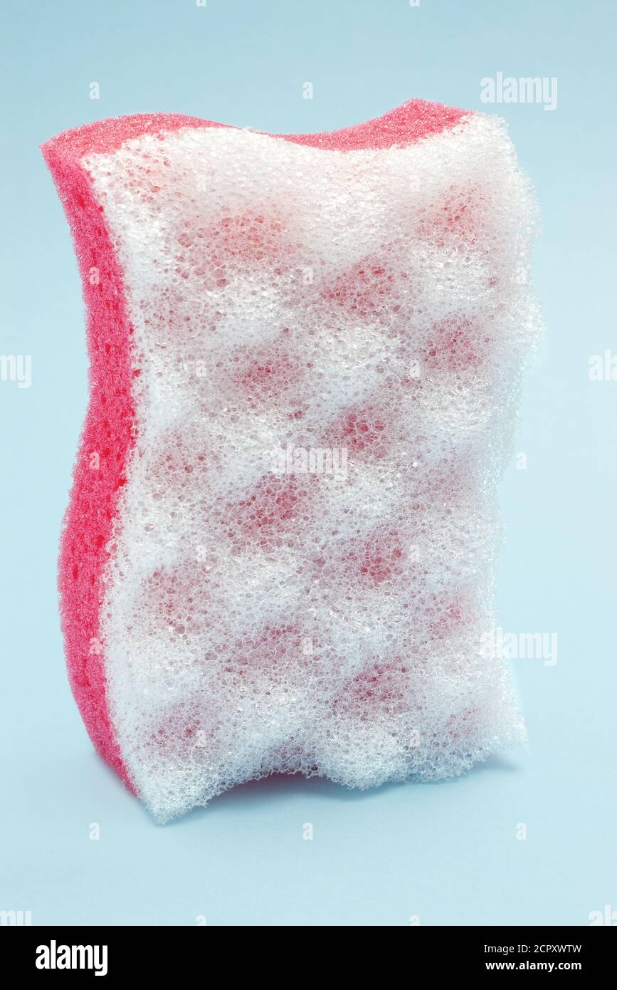 red and white porous bath sponge on side on blue paper background Stock ...