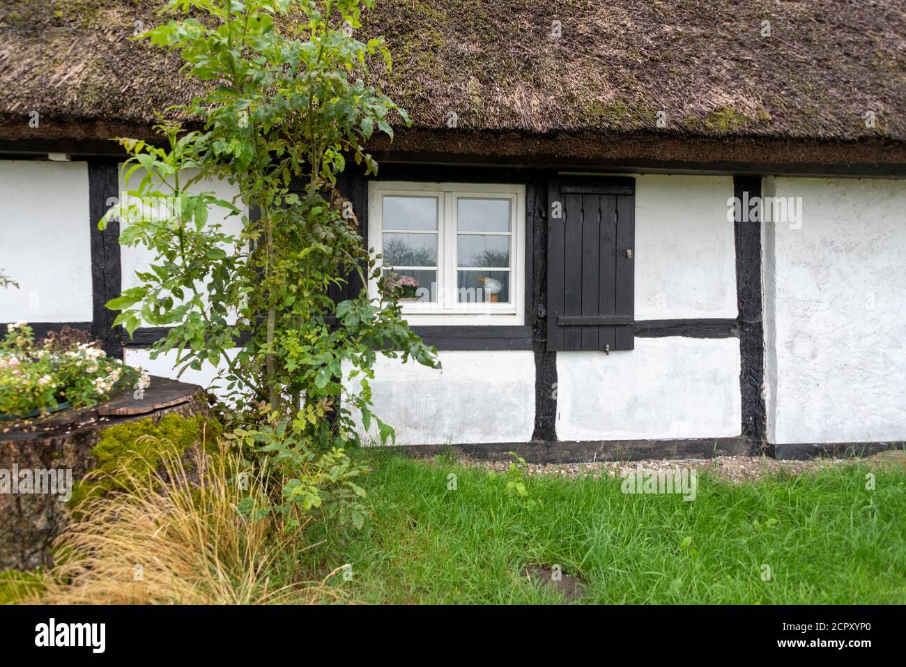 Traditional half-timbered house with thatched roof Stock Photo - Alamy