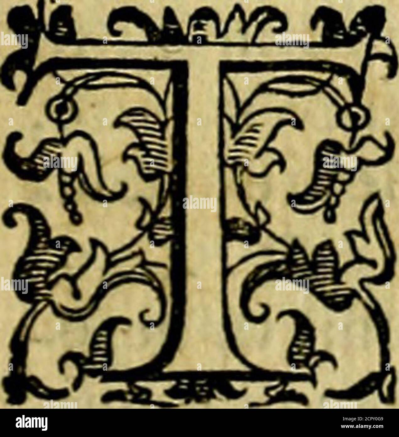 Ella no era hi-res stock photography and images - Alamy