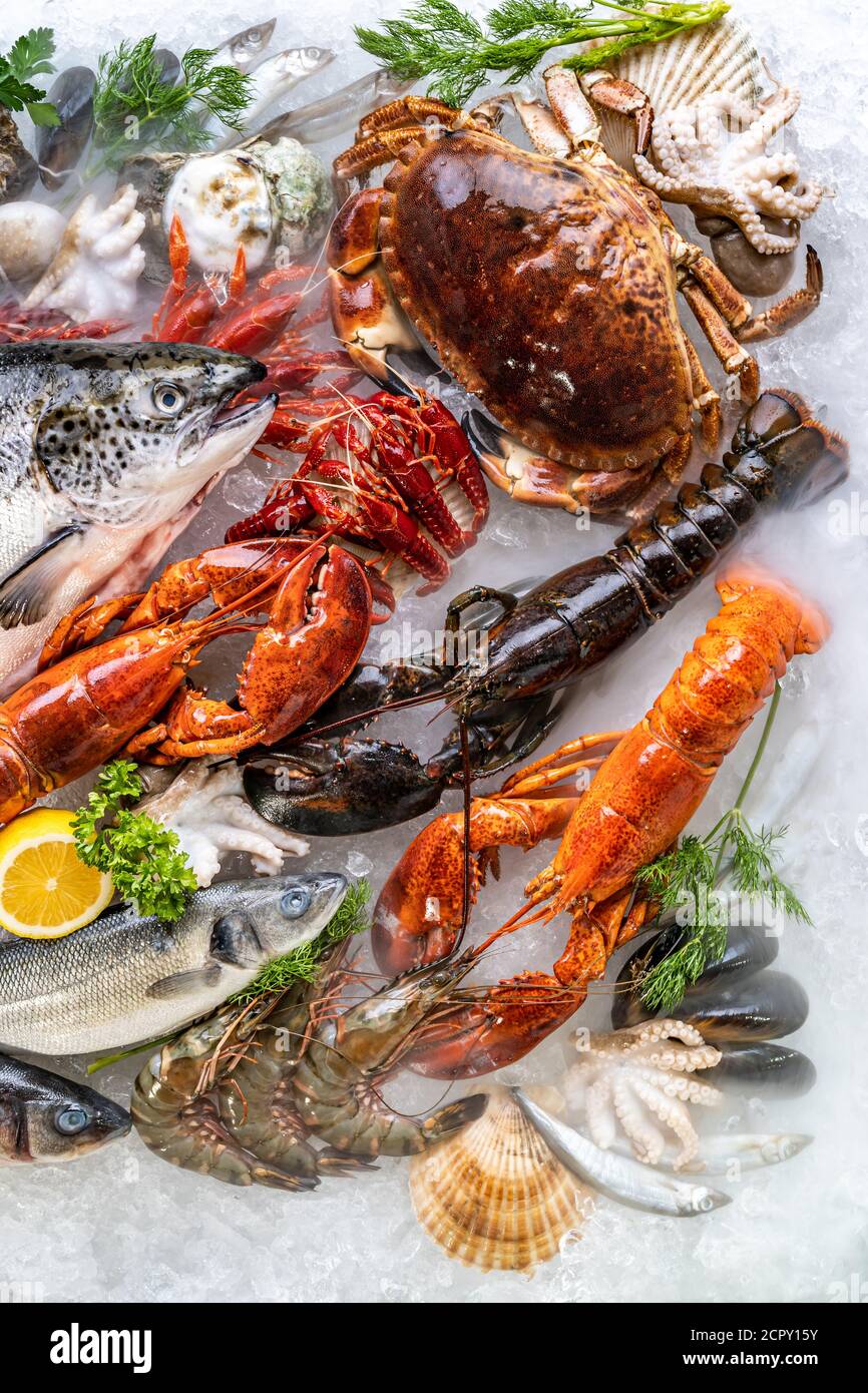 Top view Variety of fresh luxury seafood, Lobster salmon mackerel ...