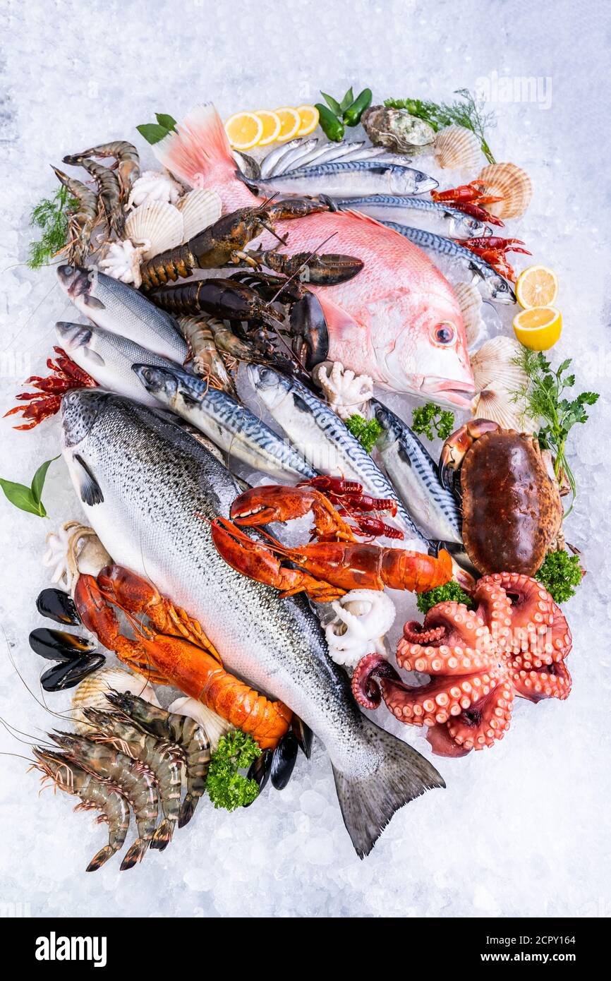 Top view Variety of fresh luxury seafood, Lobster salmon mackerel ...