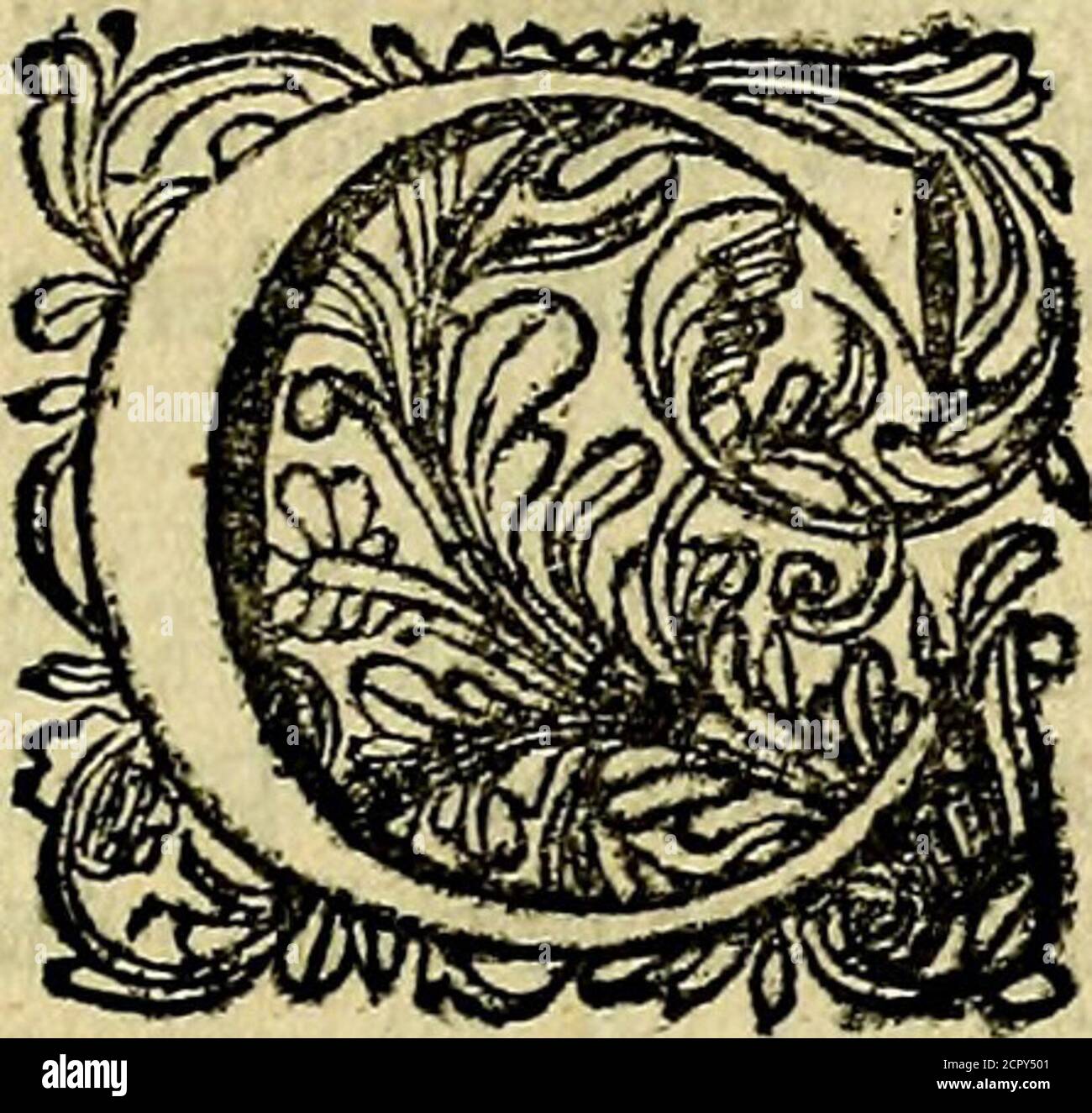 Photos par d'autres hi-res stock photography and images - Alamy