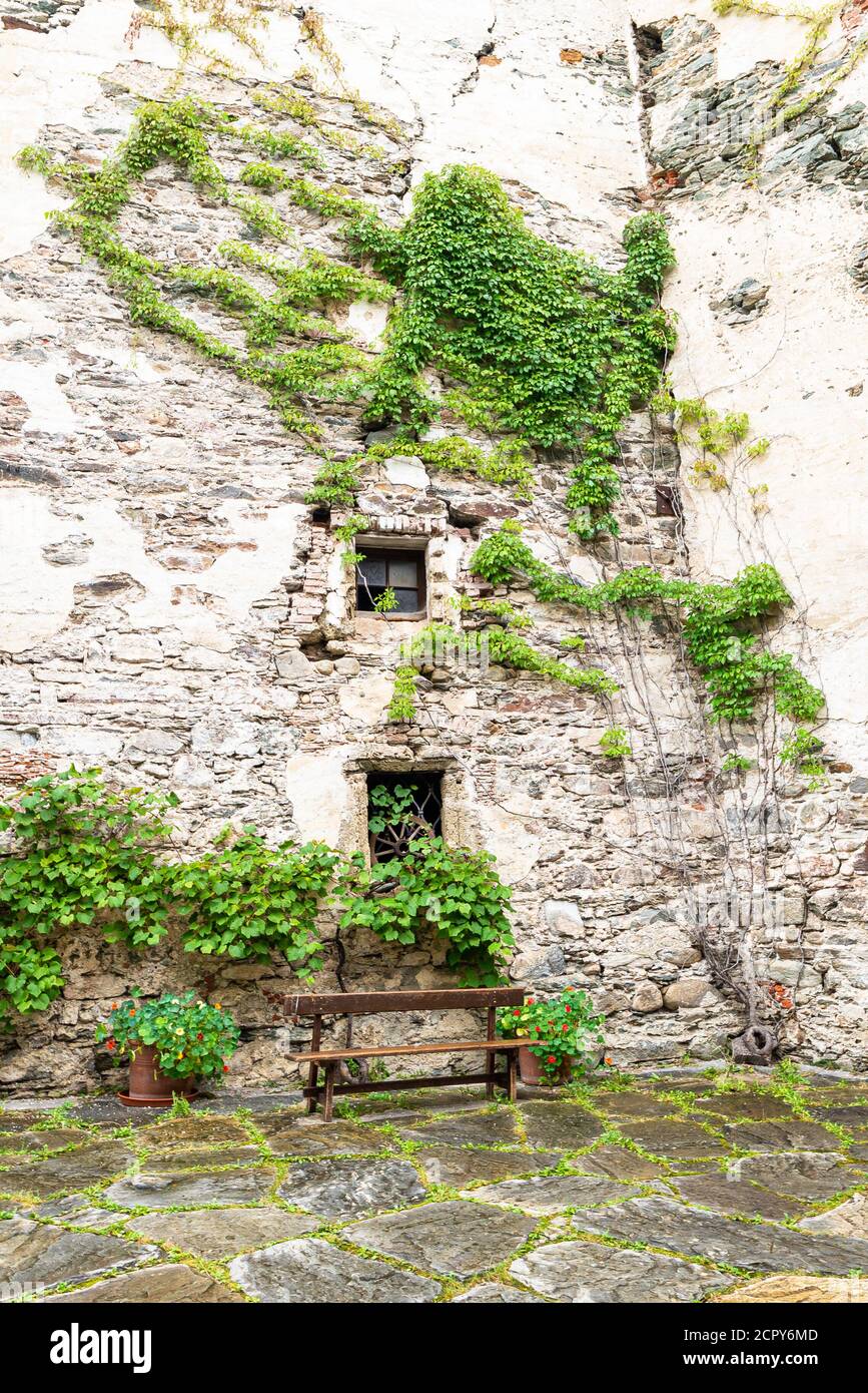 Old castle wall is covered with ivy Stock Photo - Alamy