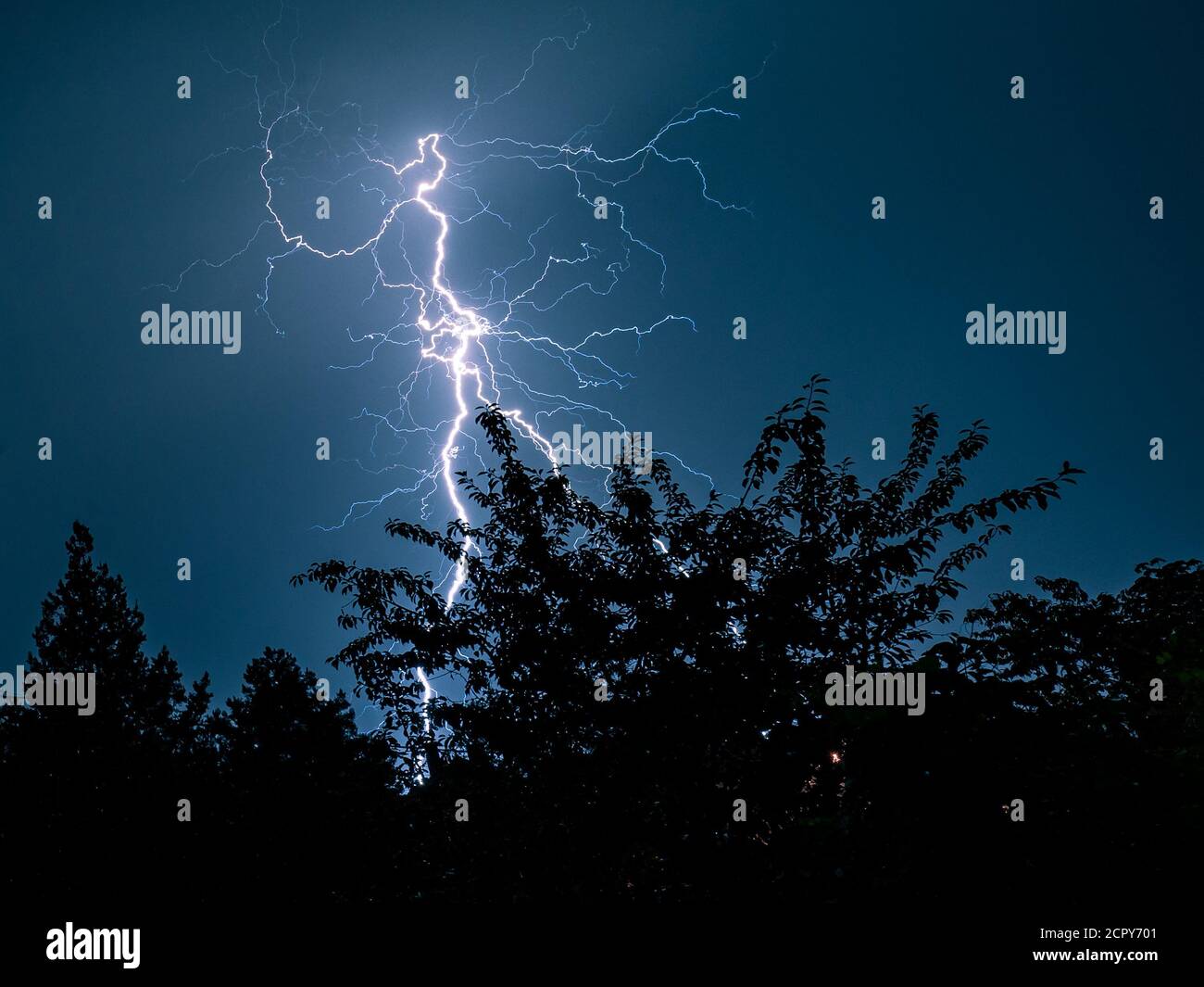 Lightning strike tree hi-res stock photography and images - Alamy