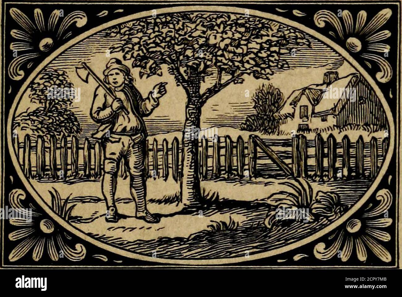 Barren fig tree hi-res stock photography and images - Alamy