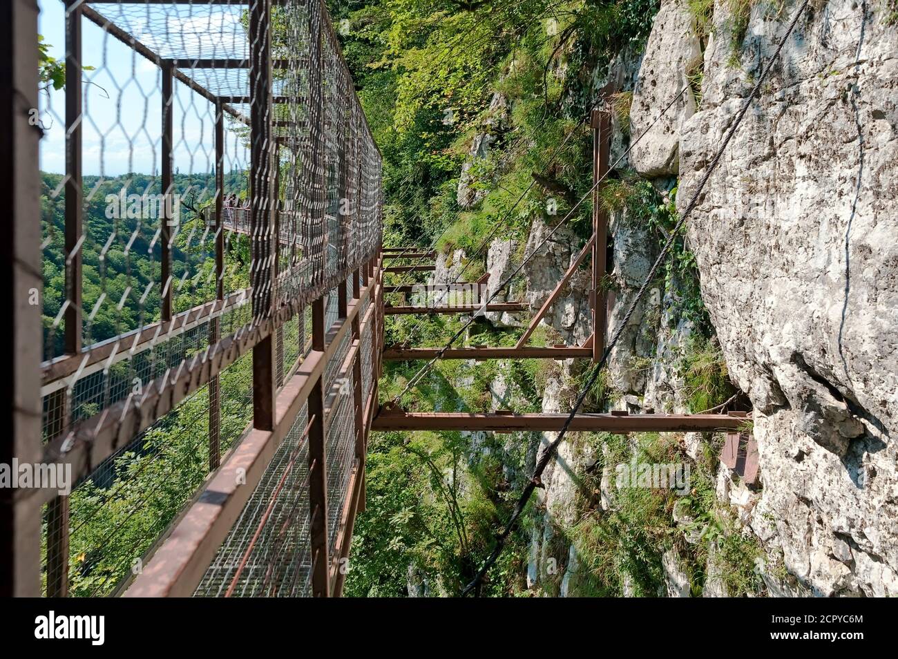 Suspension bridge around the Okatse canyon in Georgia Stock Photo - Alamy