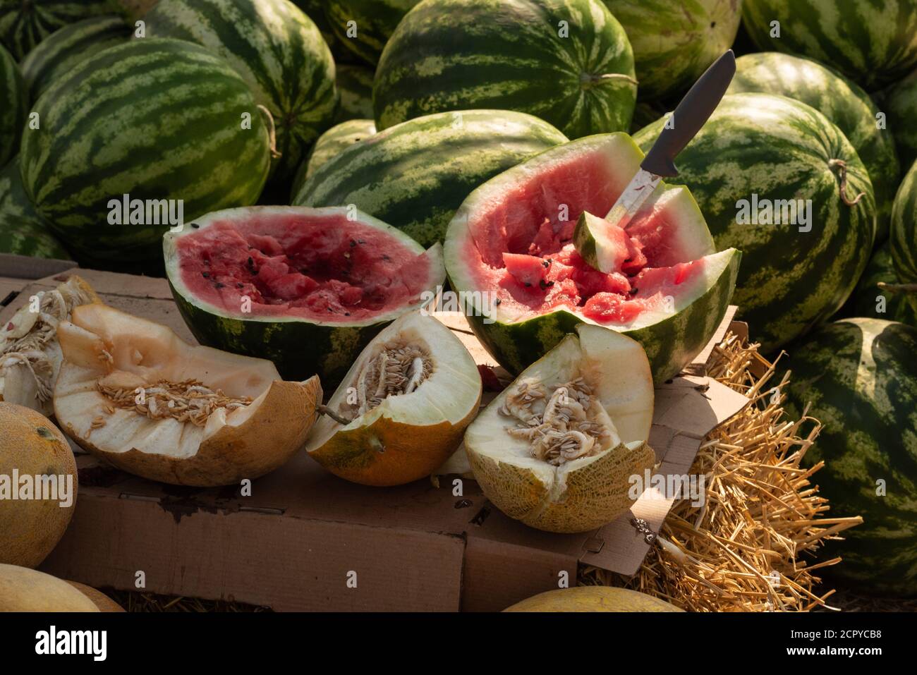 Pile of watermelons. Heap of watermelon at farmers market. Watermelon ...