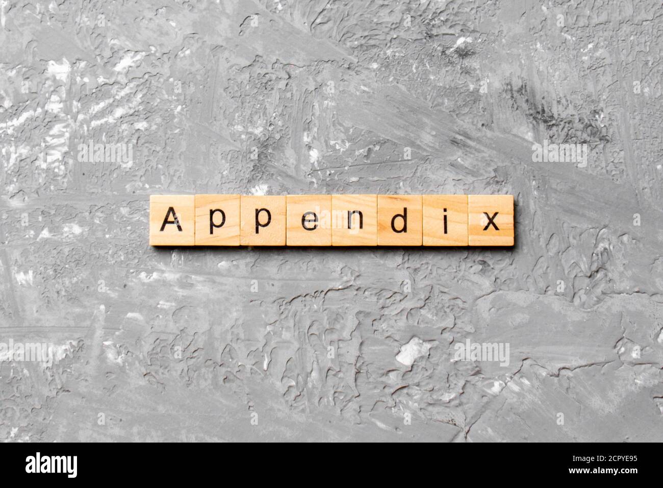appendix word written on wood block. appendix text on table, concept ...