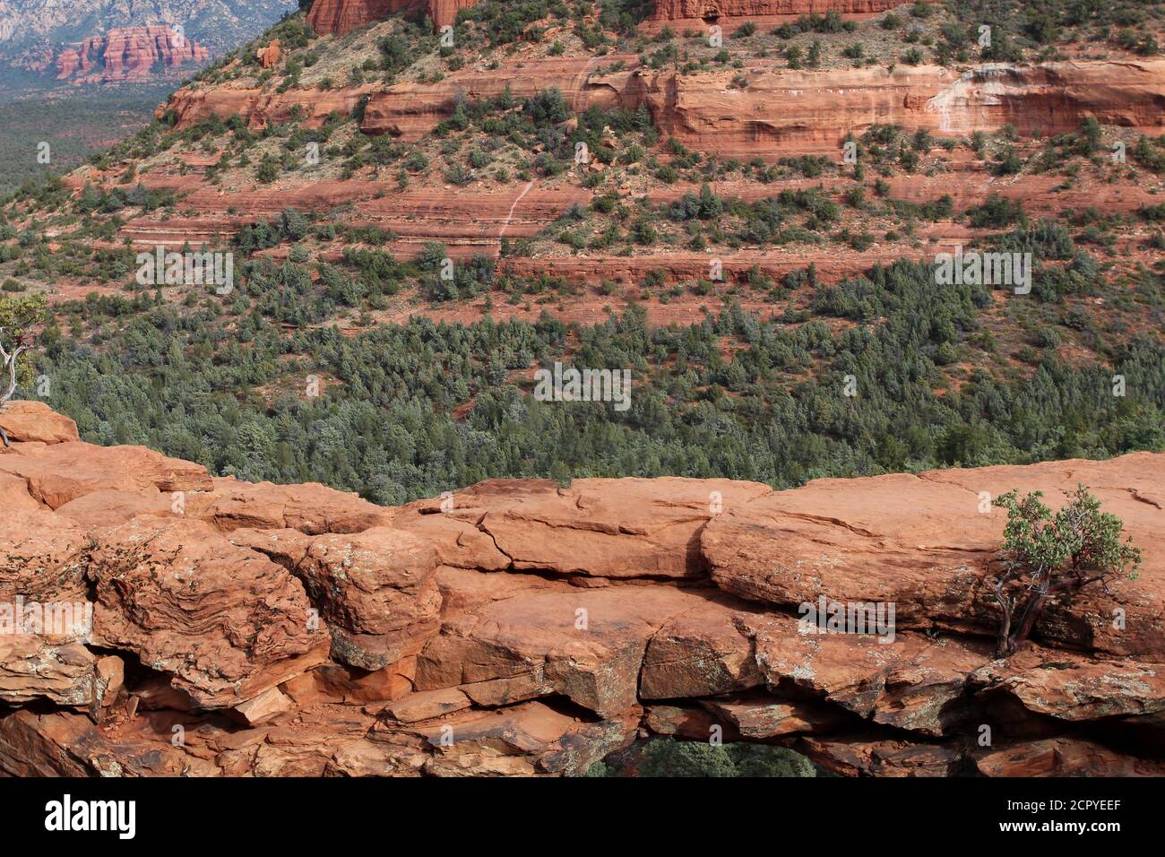 Devil's Bridge, a natural sandstone arch, in the mountains of Sedona ...