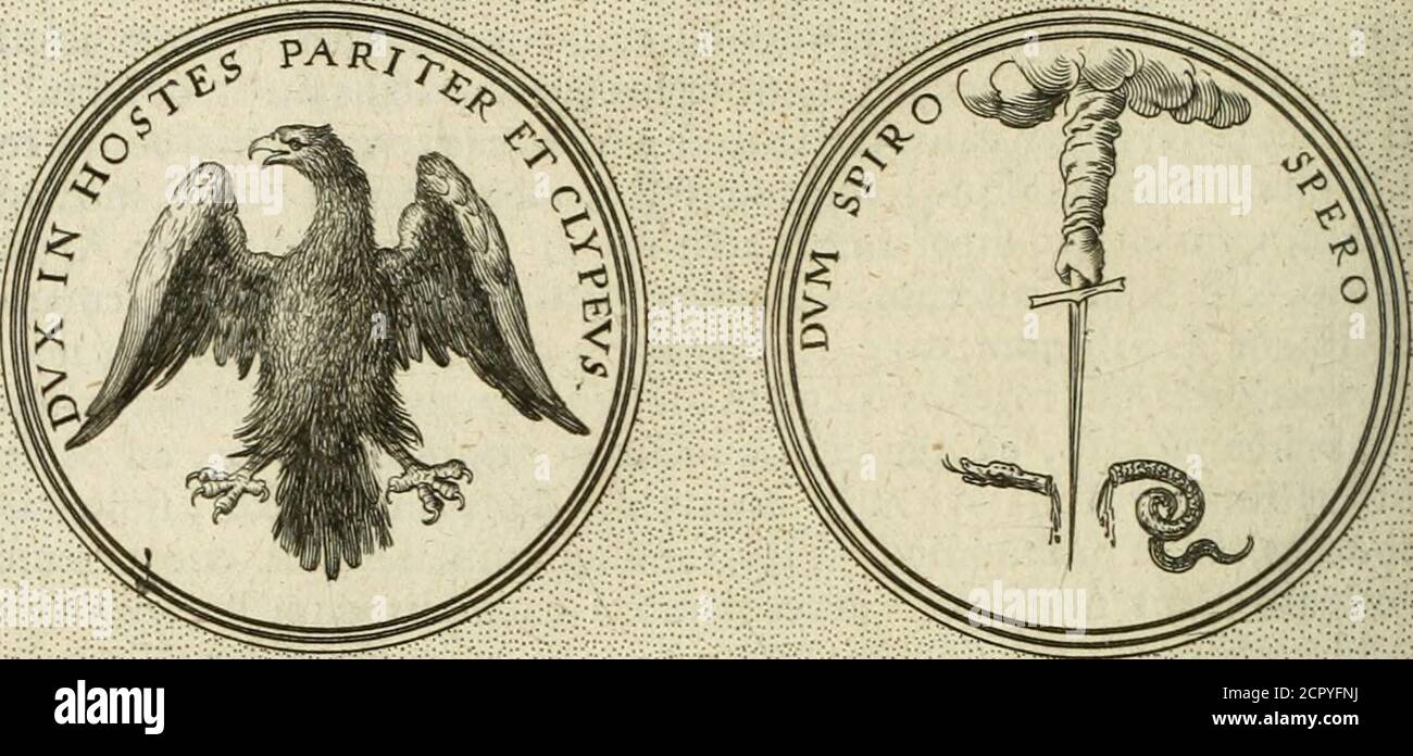 Vinculum hi-res stock photography and images - Alamy