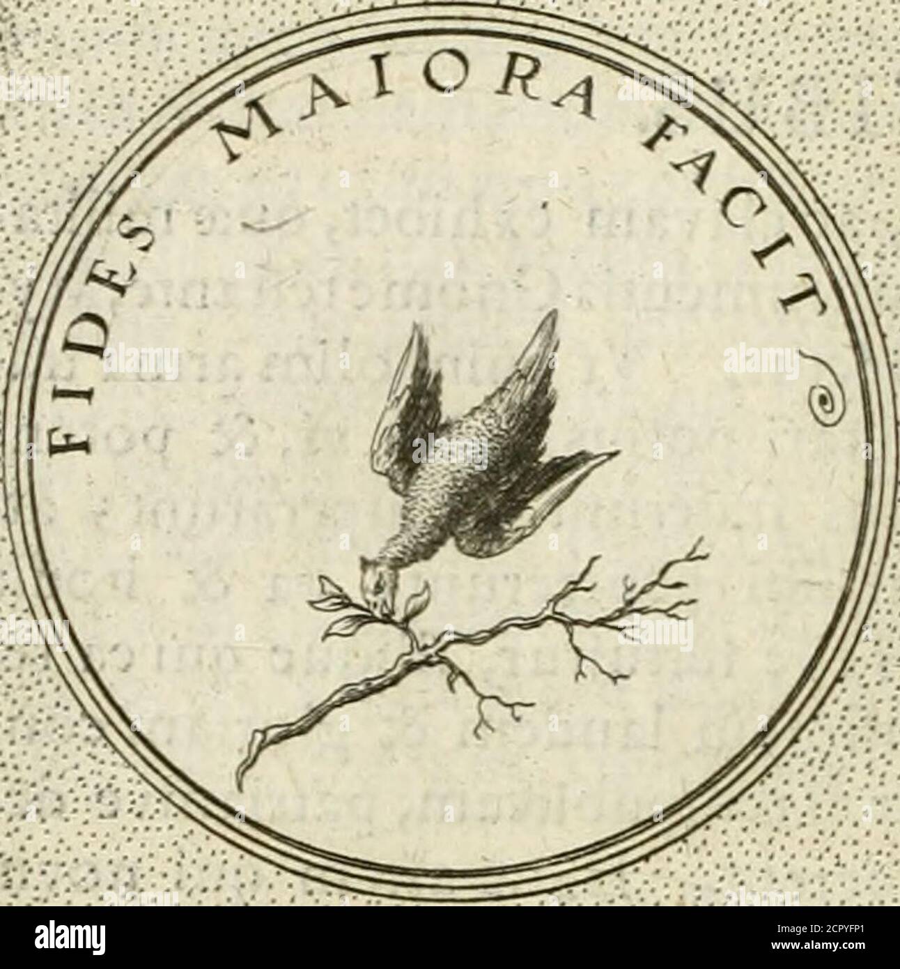 Porius hi-res stock photography and images - Alamy