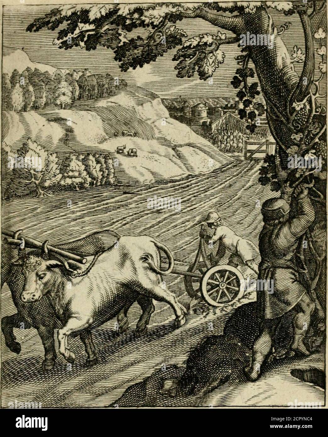 Fortunatos hi-res stock photography and images - Alamy