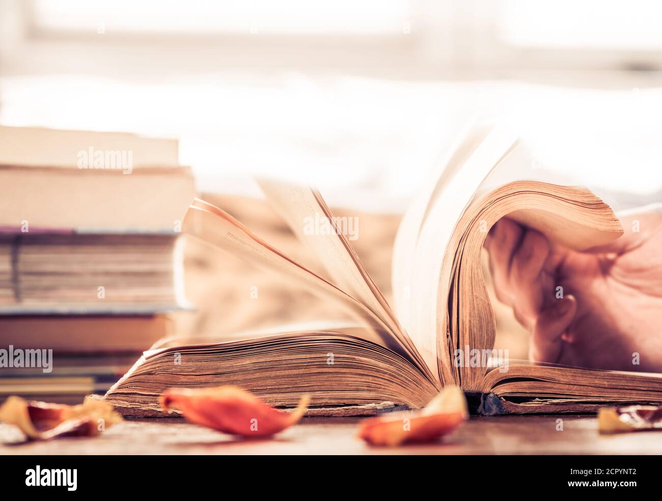 Old open book with faded pages closeup Stock Photo - Alamy