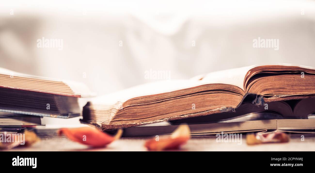 Old open book with faded pages closeup Stock Photo - Alamy