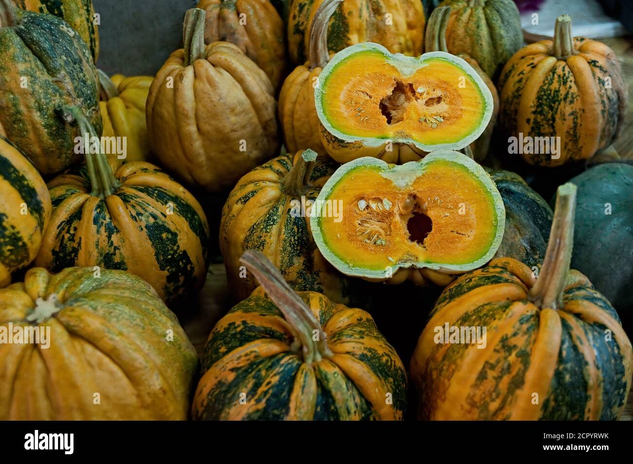Spotted one piece hi-res stock photography and images - Alamy
