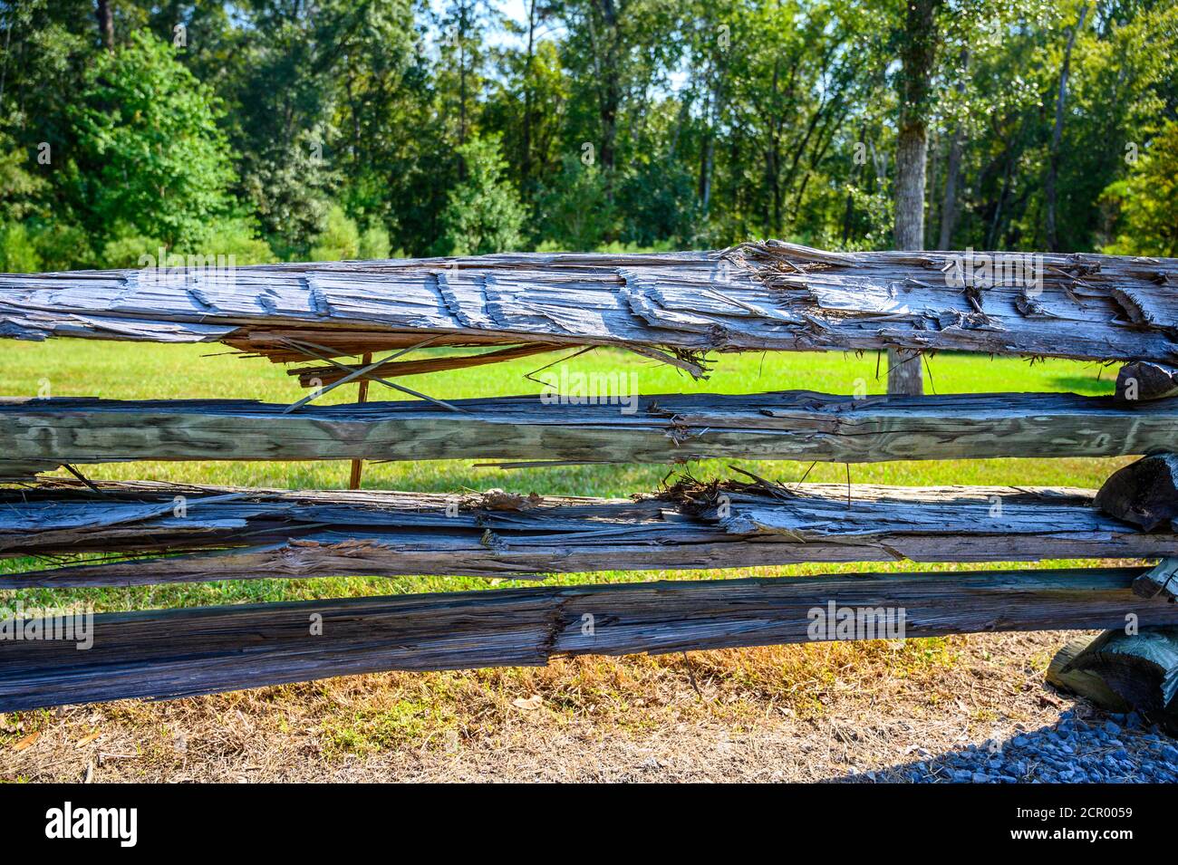 Old practice of building fence from split logs - rough edges and ...