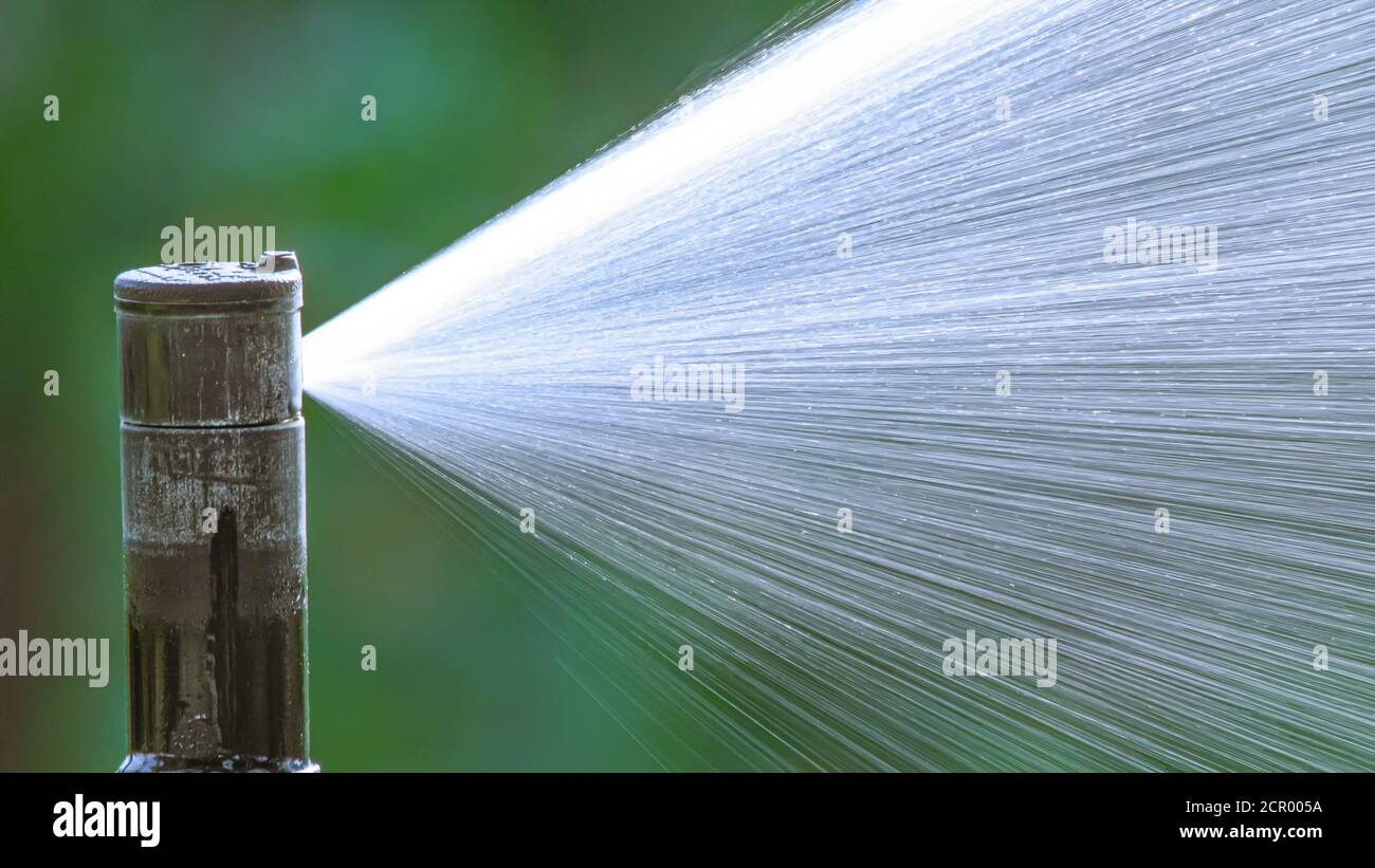 automatic sprinkler system watering the lawn Selective focus. Macro ...