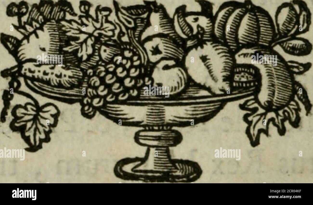 Richardus i hi-res stock photography and images - Alamy