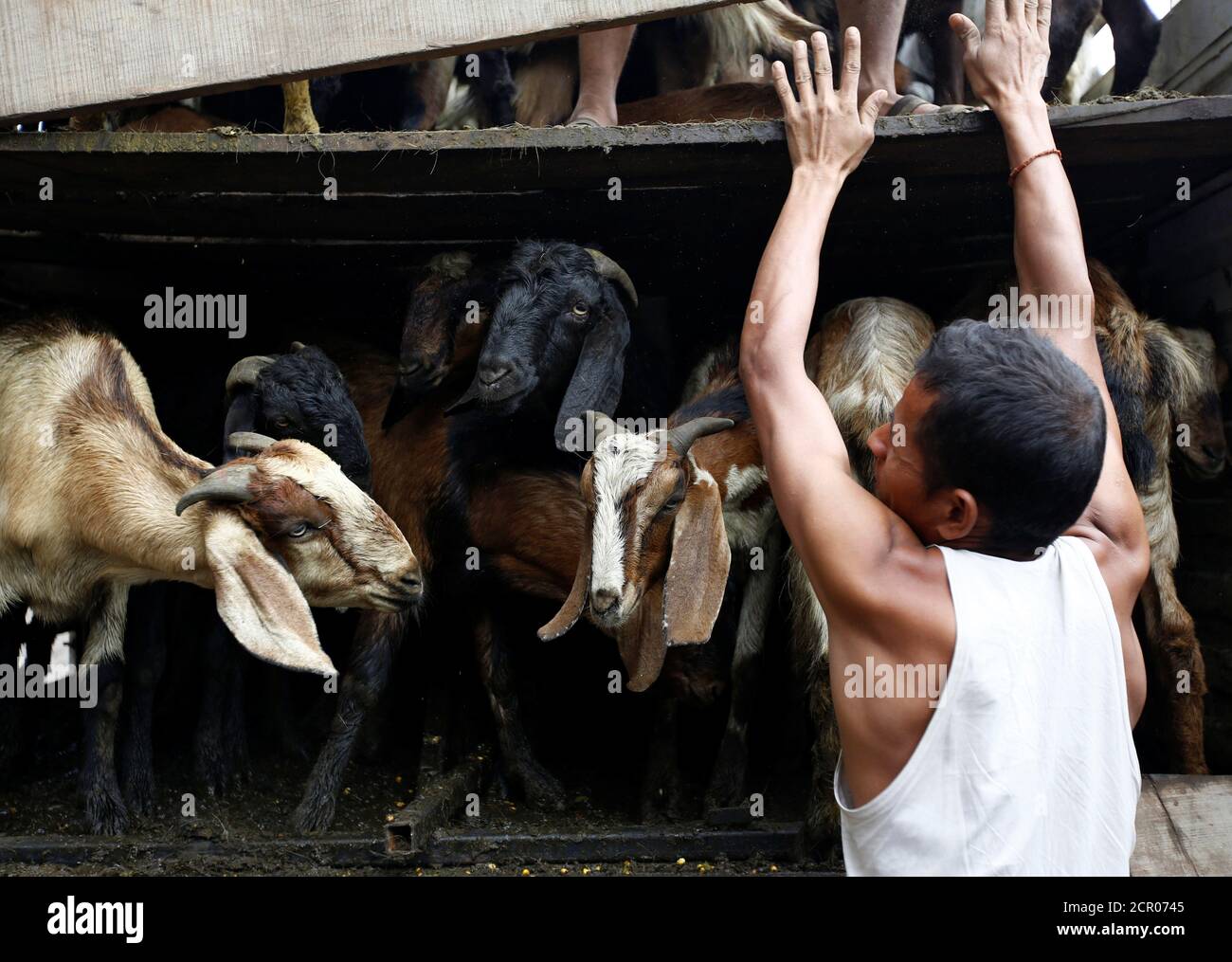 Kathmandu dashain festival hi-res stock photography and images - Alamy