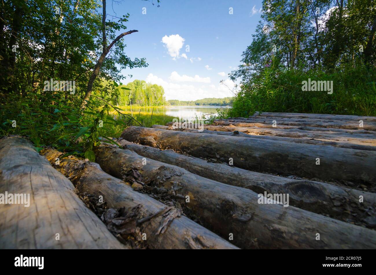 Logs across hi-res stock photography and images - Alamy