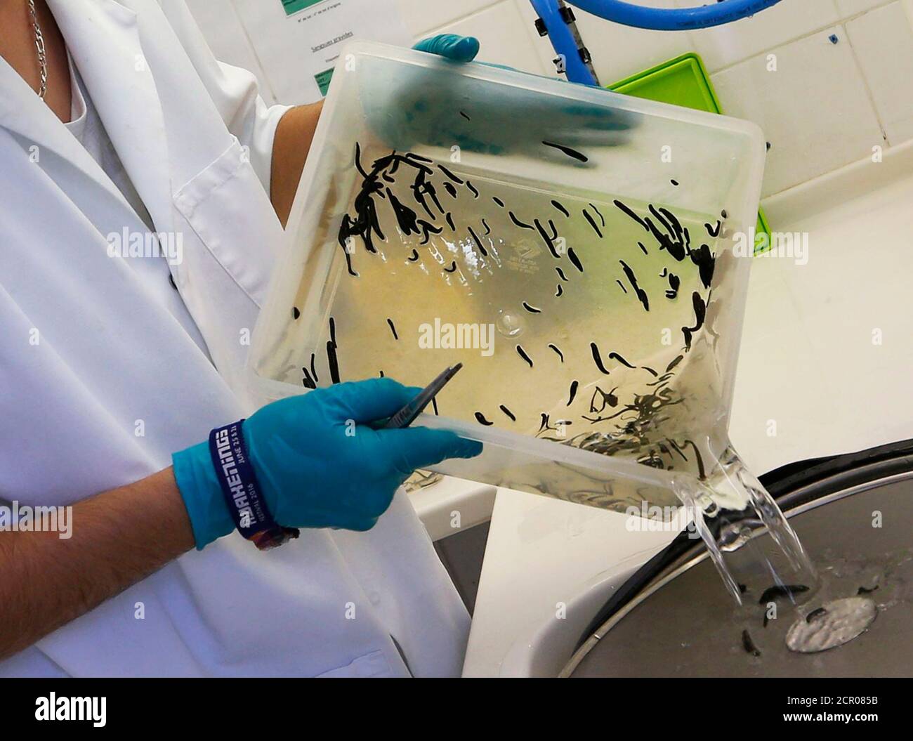 Desuetude hi-res stock photography and images - Alamy