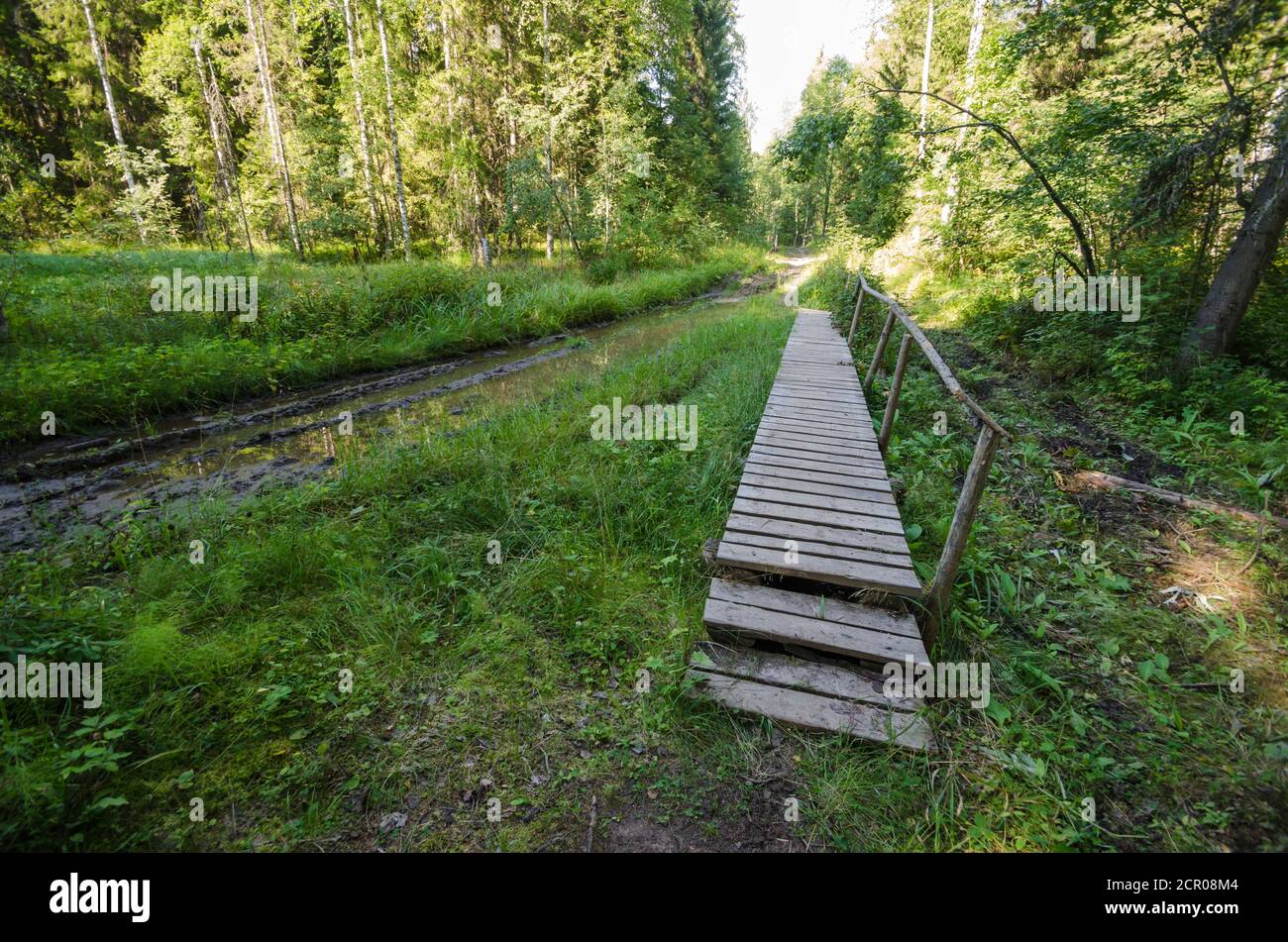 Wooden bridge over the stream. Wooden hedge. Tourist trail Stock Photo ...