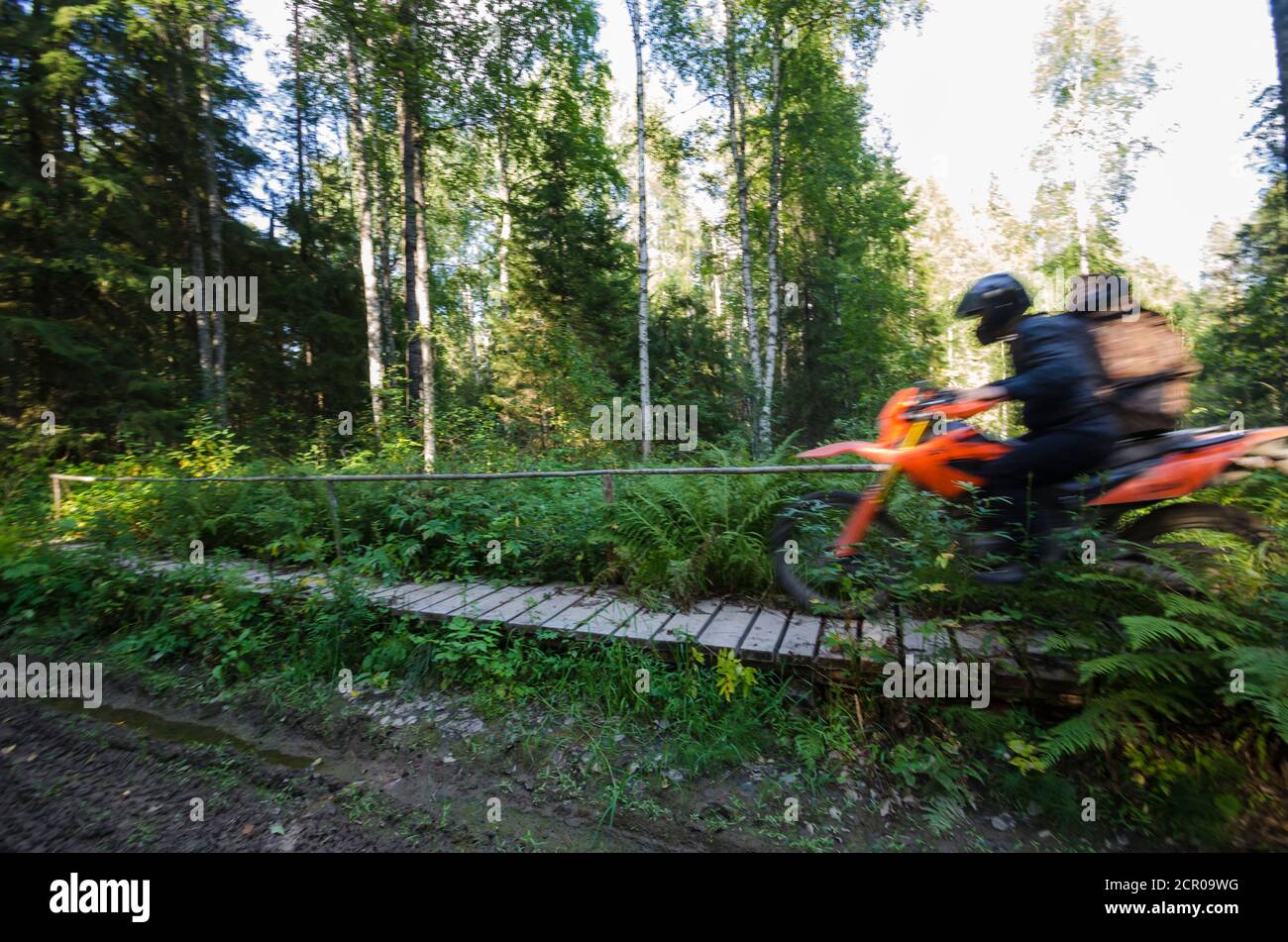 Enduro motorcycle race trees hi-res stock photography and images - Alamy