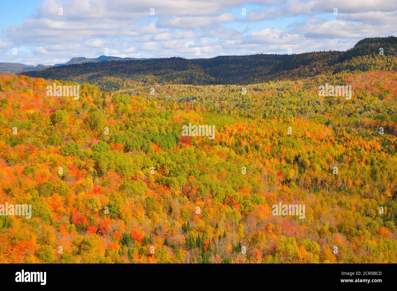 Autumn colors aerial view, Canada, Quebec, La Baie Stock Photo - Alamy