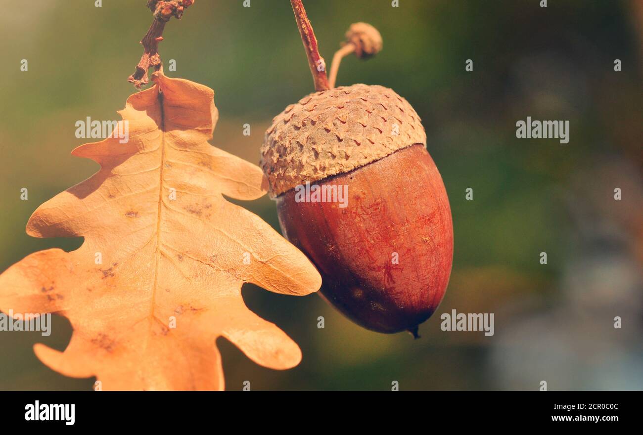 Seasonal food change hi-res stock photography and images - Alamy