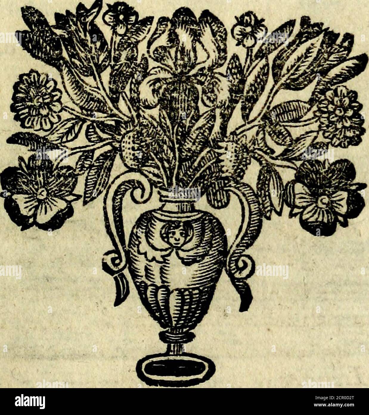 Richardus hi-res stock photography and images - Alamy