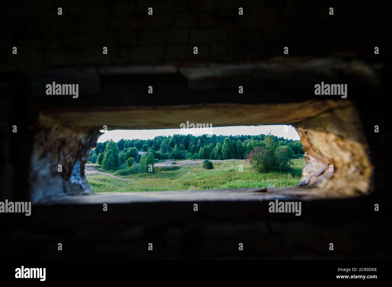 Viewing window in the house. Forest view Stock Photo - Alamy