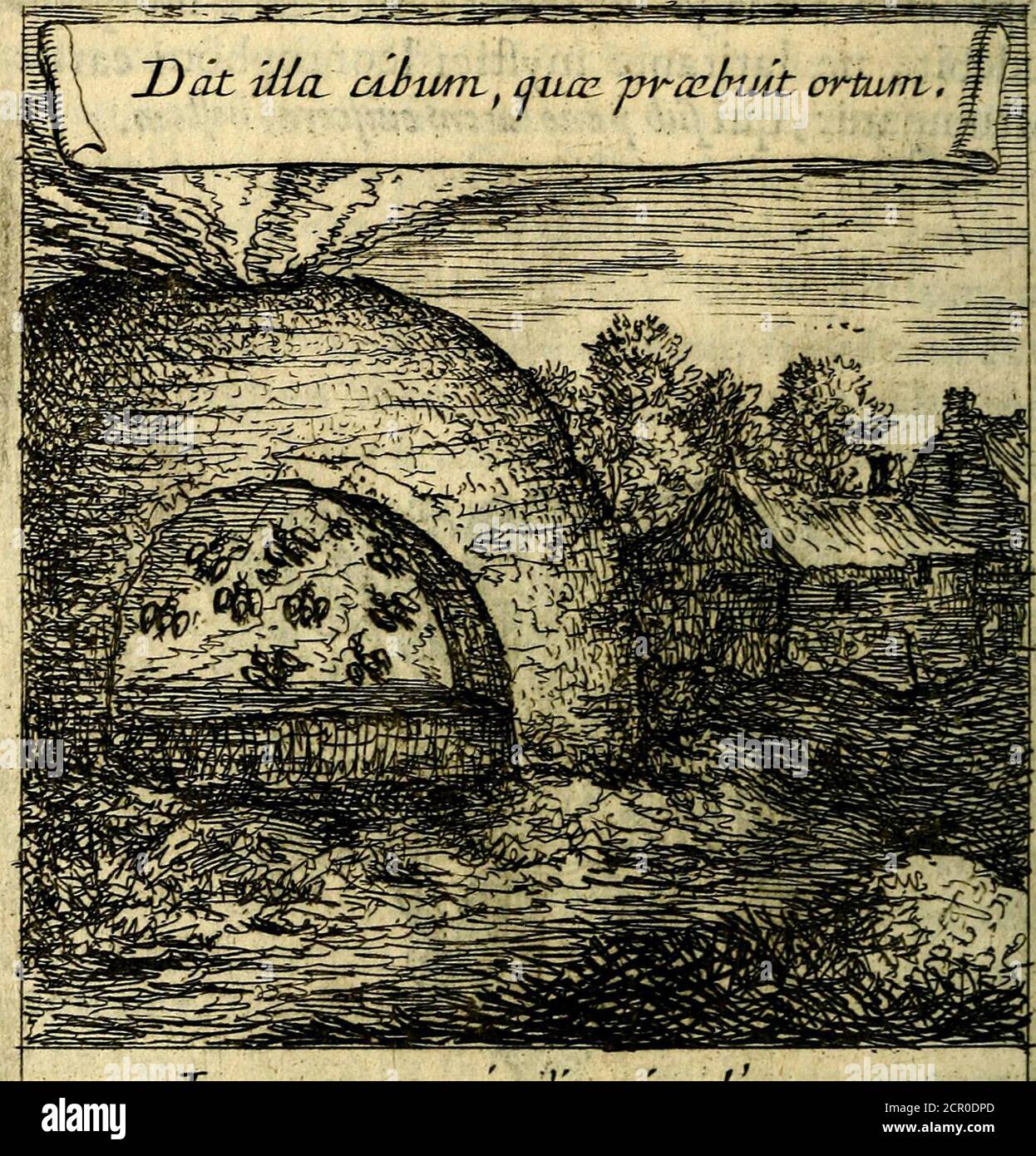 Apodosis hi-res stock photography and images - Alamy