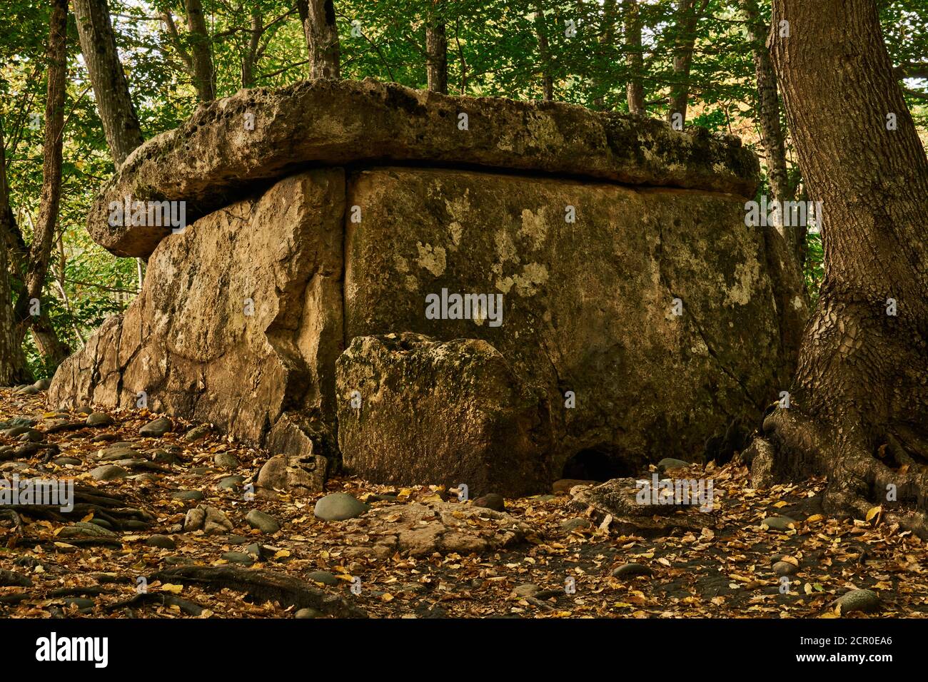 ancient megalith dolmen among trees in an autumn grove in the evening ...