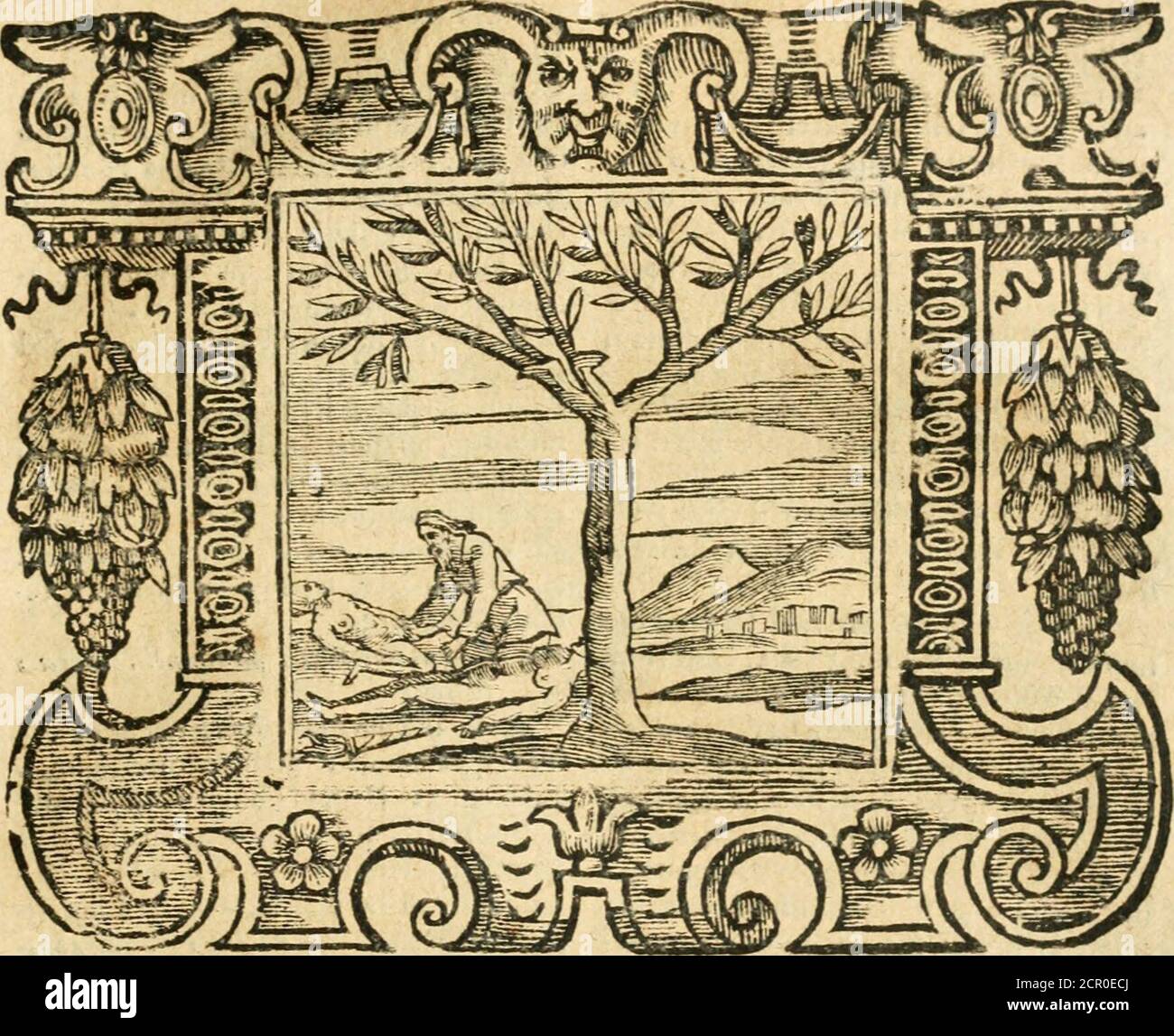 Alteta hi-res stock photography and images - Alamy