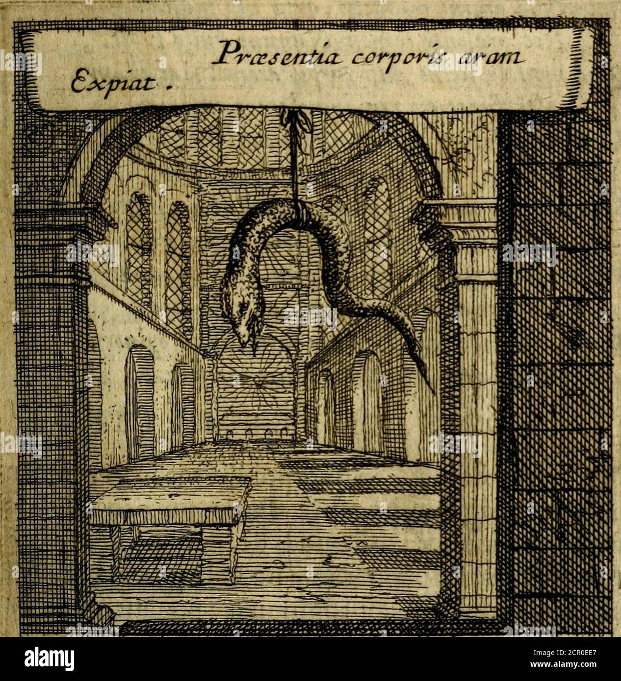 Apodosis hi-res stock photography and images - Alamy