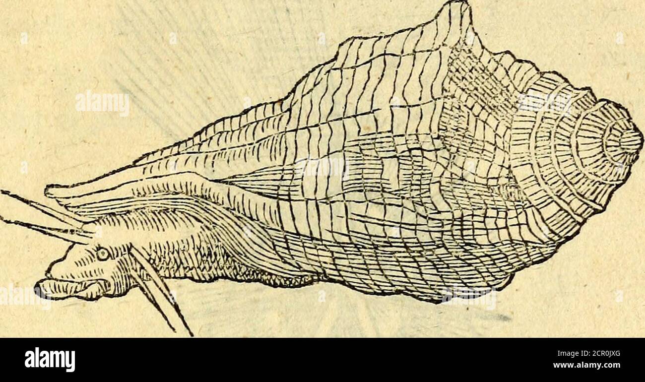 Fui font hi-res stock photography and images - Alamy