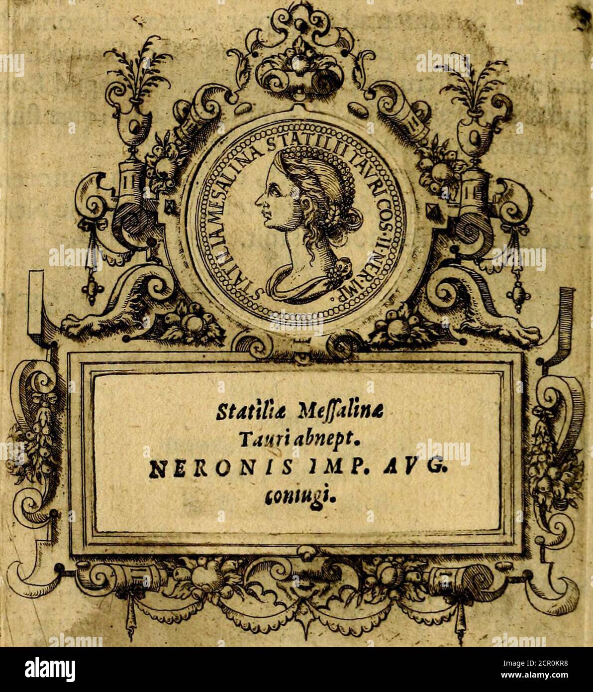 Memmio hi-res stock photography and images - Alamy