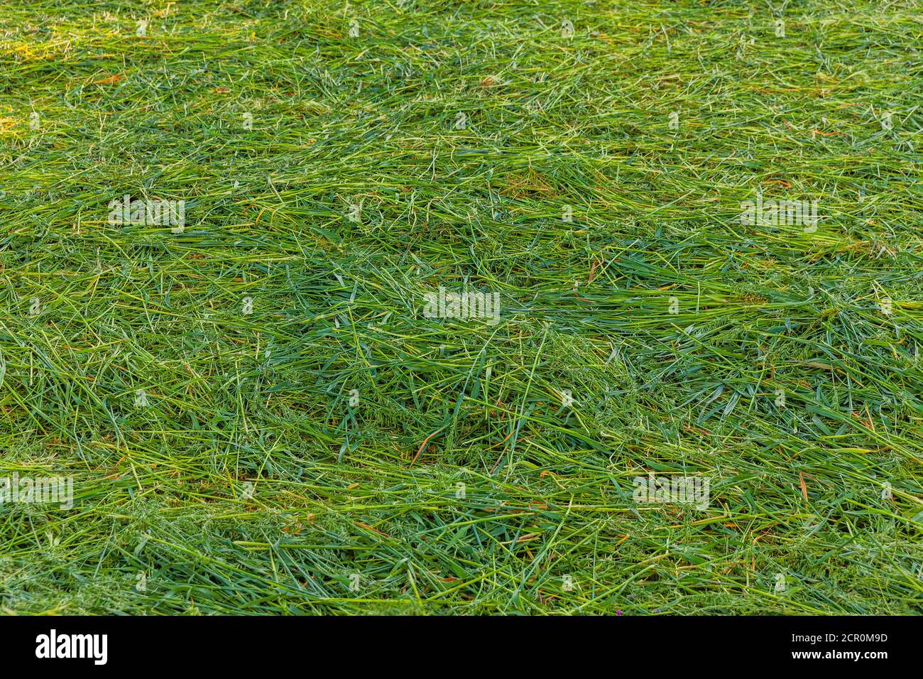 Part mown hi-res stock photography and images - Alamy